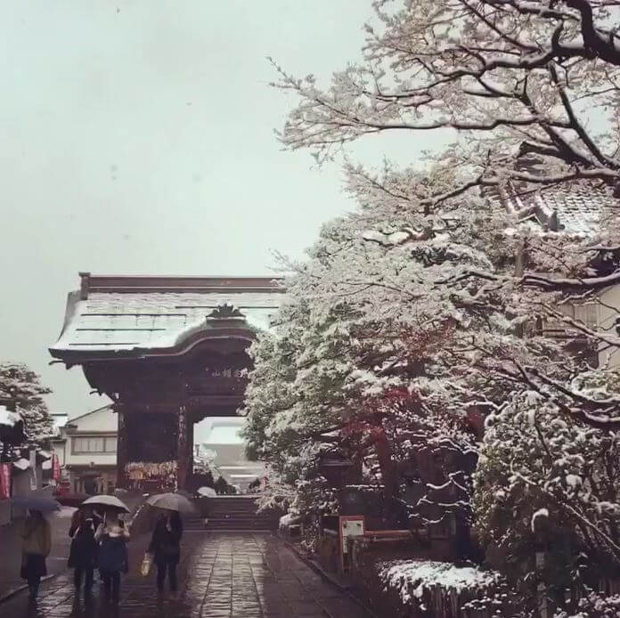 Shirotabi - A Japan Travel Blog