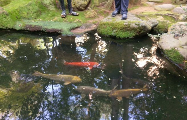 Shirotabi - A Japan Travel Blog